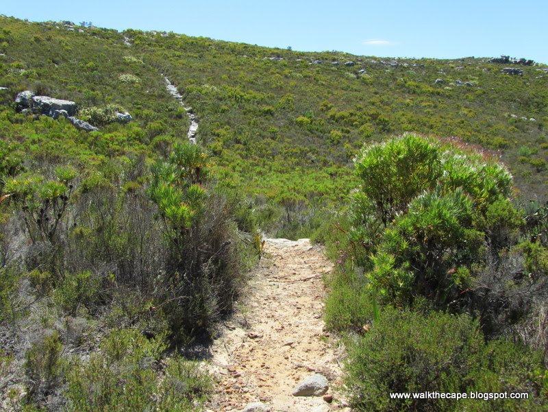 Walking the Cape: Silvermine: Panorama Path