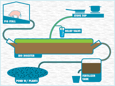 One World Farm: New Bio digestor