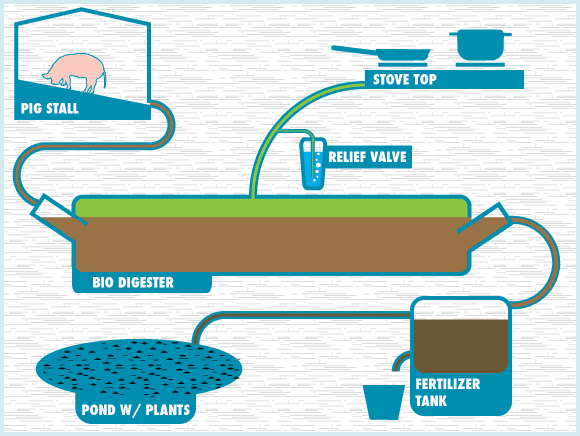 One World Farm: New Bio digestor
