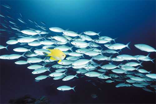 I wish: December 2011