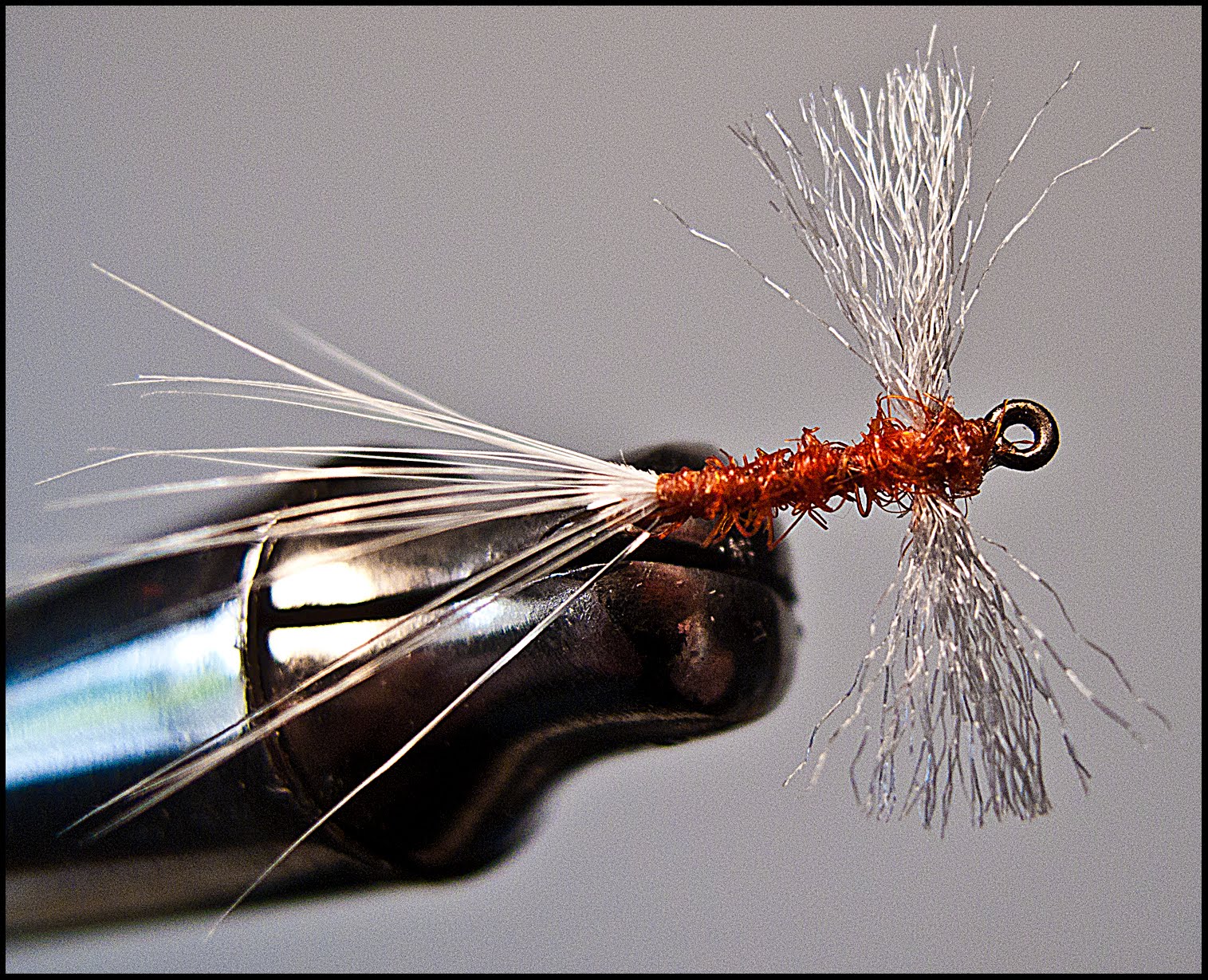 Dry Fly 'Expert': Charles Cotton's Black-Fly!