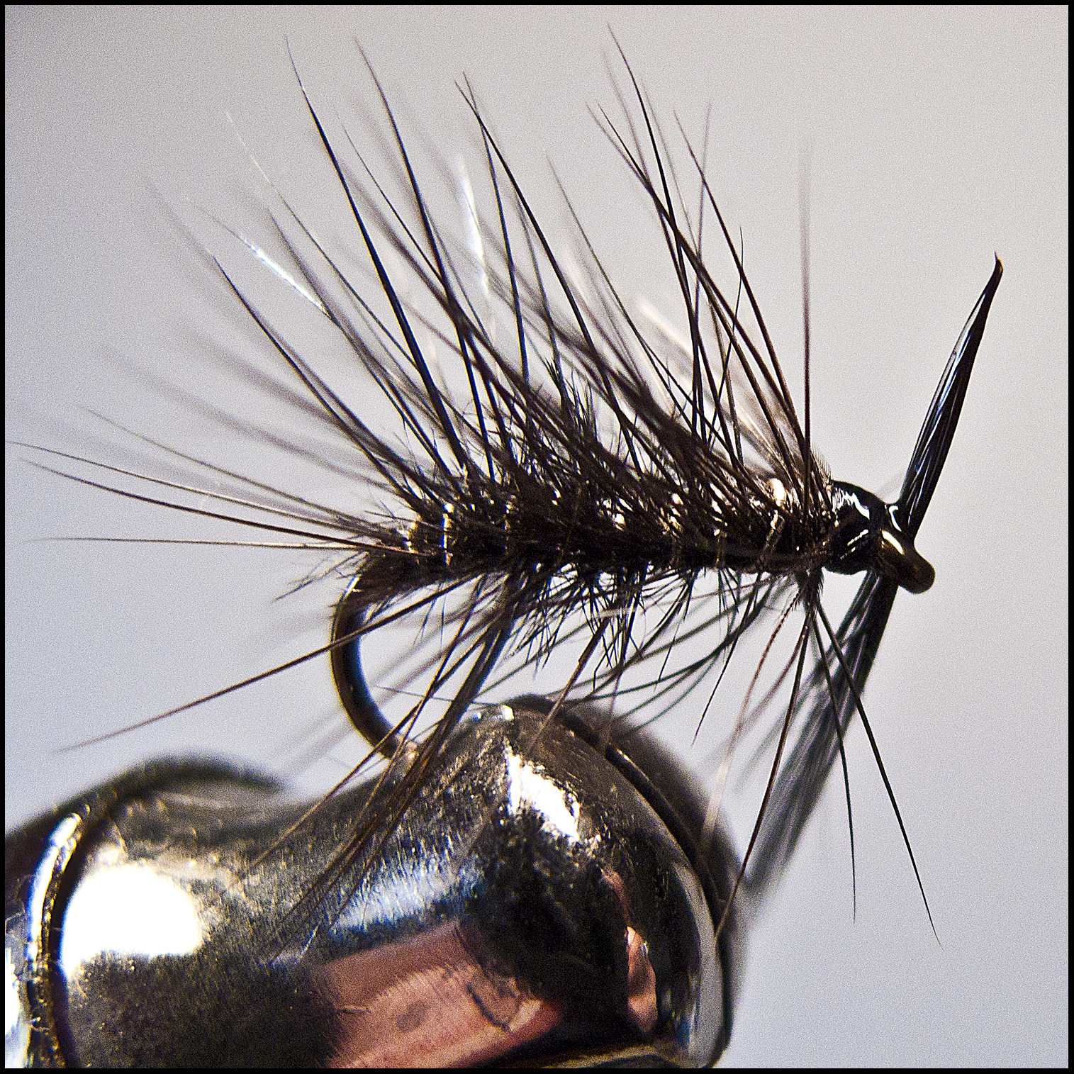 Dry Fly 'Expert': Charles Cotton's Black-Fly!