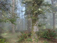 Oregon - Like No Other: Crook Point - Mack Arch