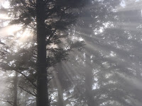 Oregon - Like No Other: Crook Point - Mack Arch
