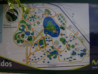 Telefonía Móvil Automática (TMA)