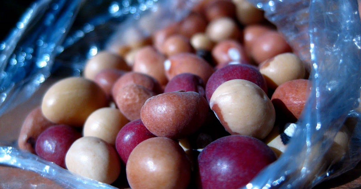 This Gluten-free Life : Jugo Beans, or African Groundnuts