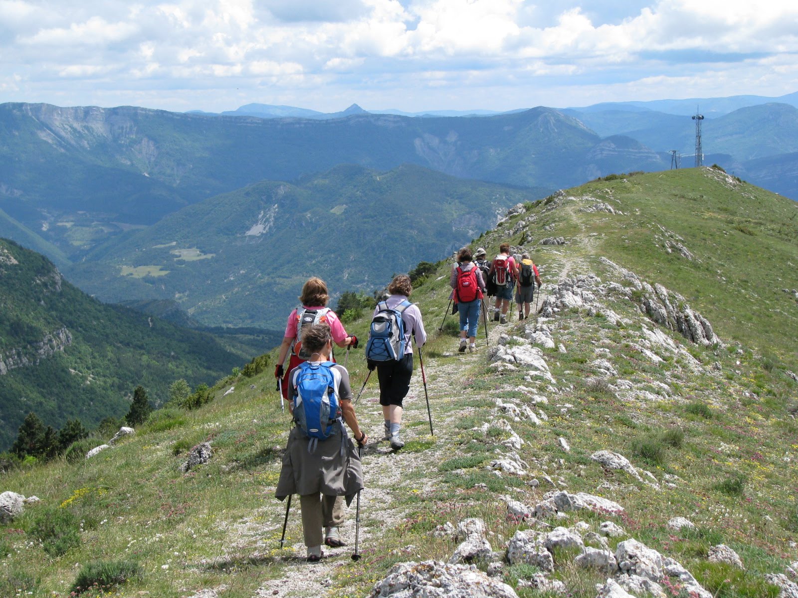 Ouveze Rando: Vendredi 18 juin 2010 : LES CRETES DE VOLVENT