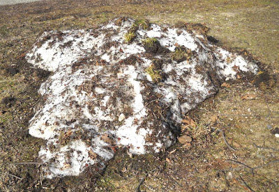 Larry's Creative Zone: Snow and dirt.... snirt