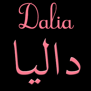 Noms calligraphiés en Arabe: Dalia en arabe