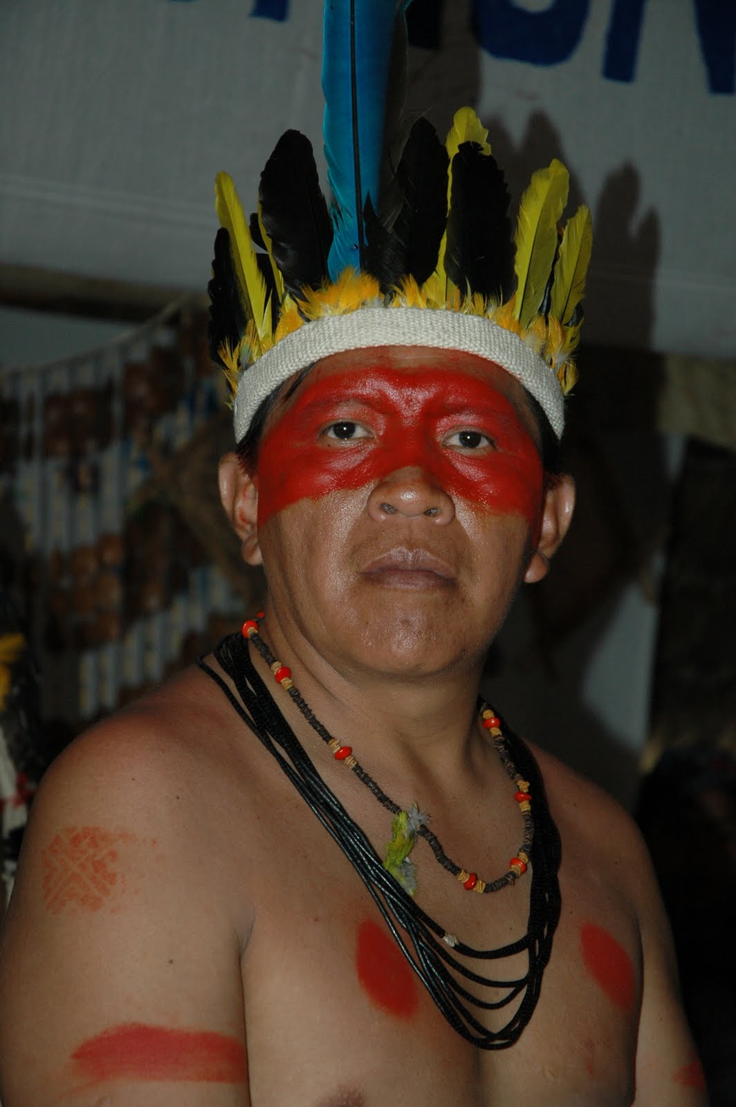 Julio Macuxi 1147 Deputado Federal