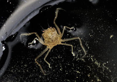 Mountain and Sea: December 2008