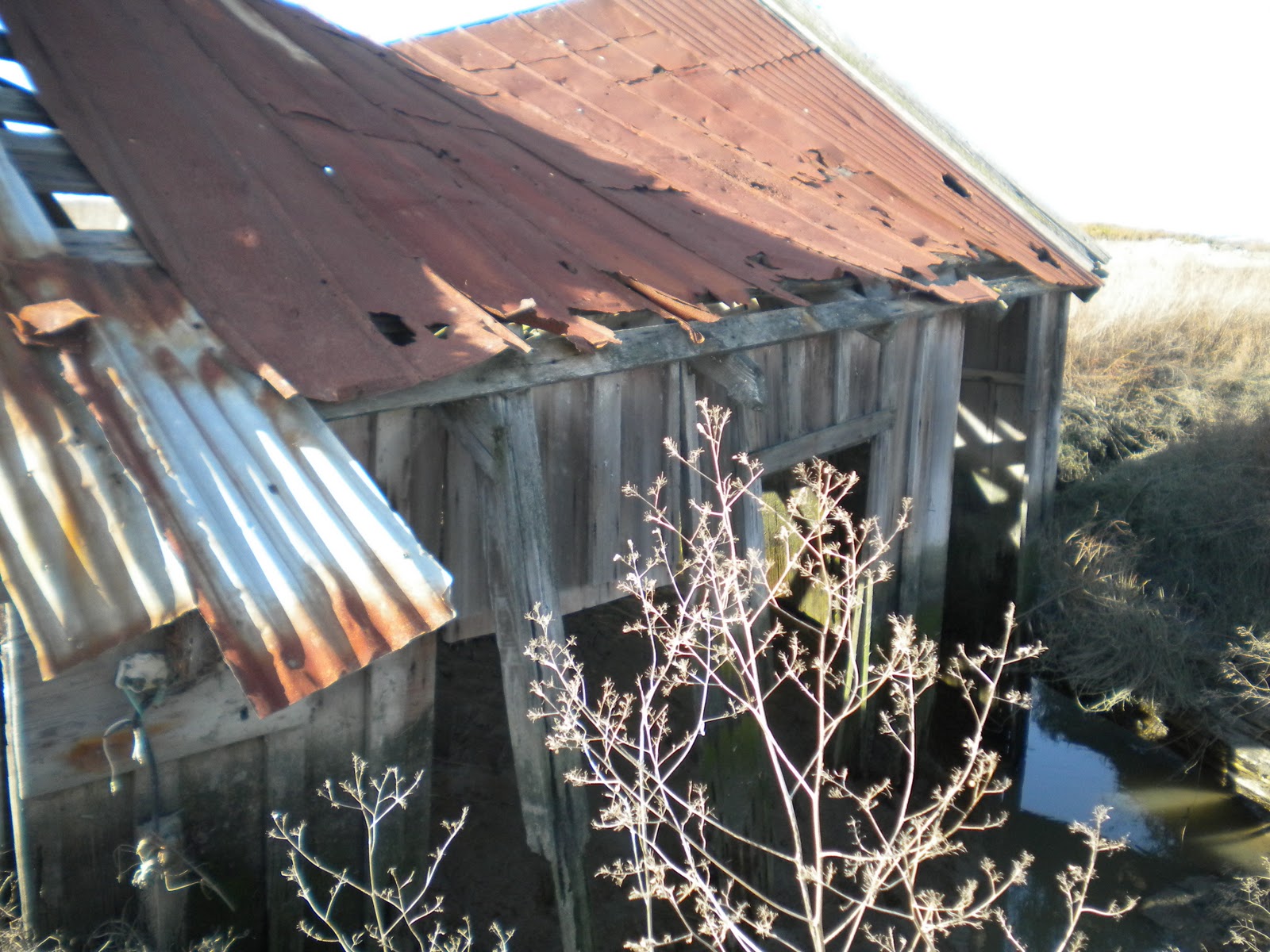 CL3: Tin Roof Rusted