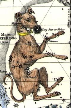 Mythological Beasties and Co.: Laelaps