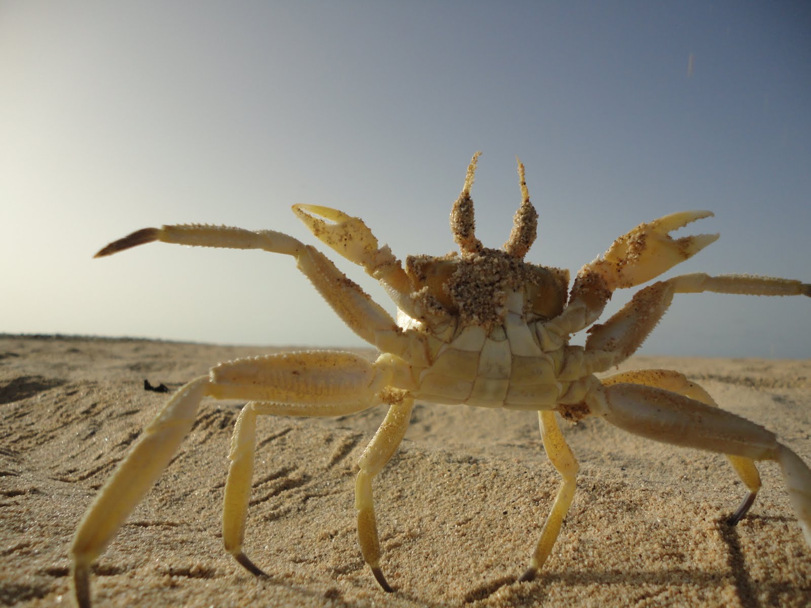 Boa Vista, Cape Verde: The Beginning of the End