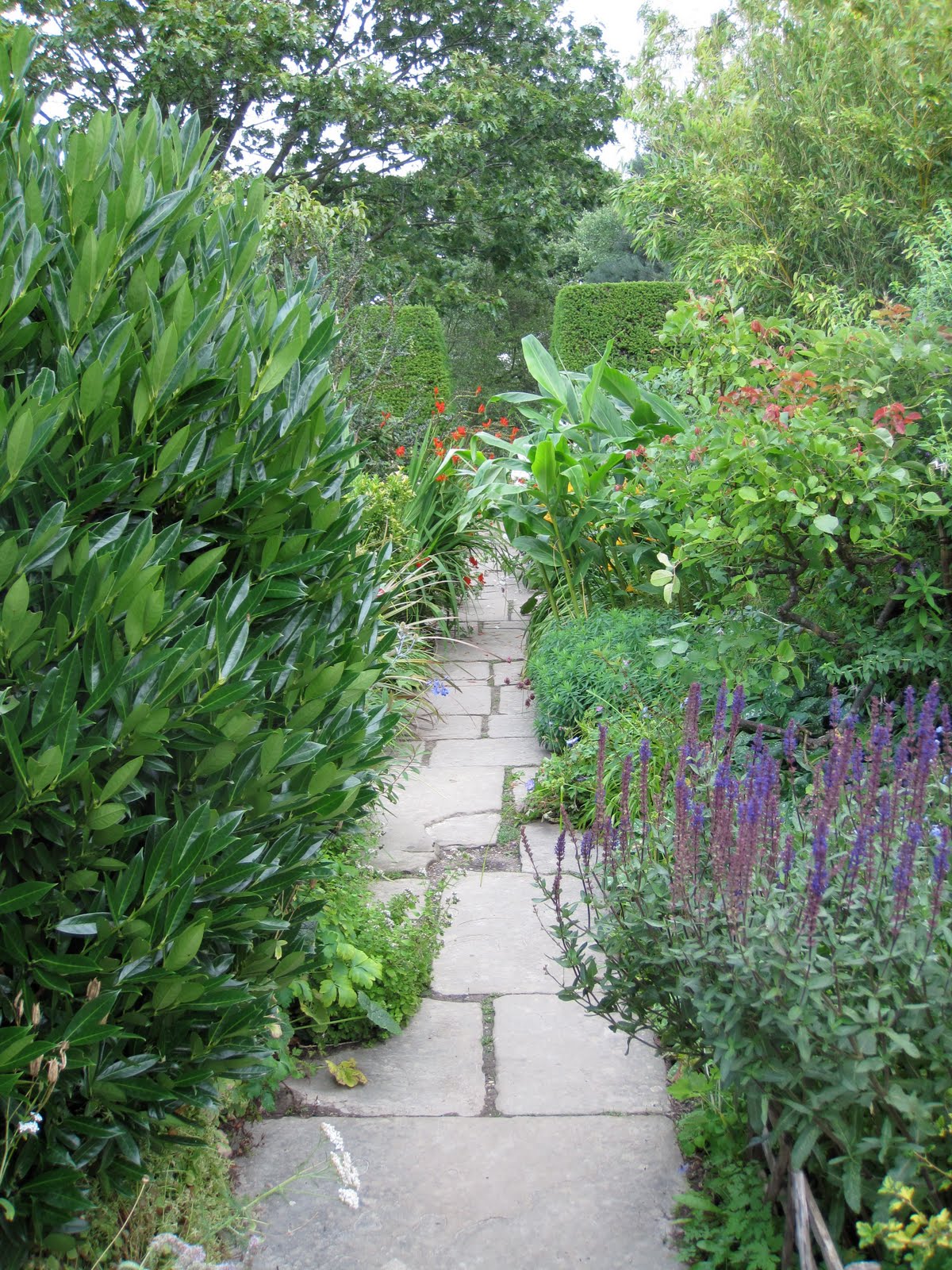 Phyllis Odessey: A story behind every plant:GREAT DIXTER