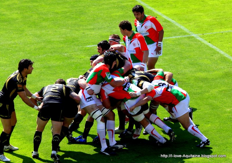 I love Aquitaine: Biarritz rugby team wins important game