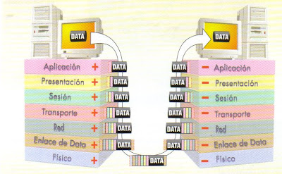 Tema 2 - Modelo OSI: 1.- Las Capas del Modelo OSI.