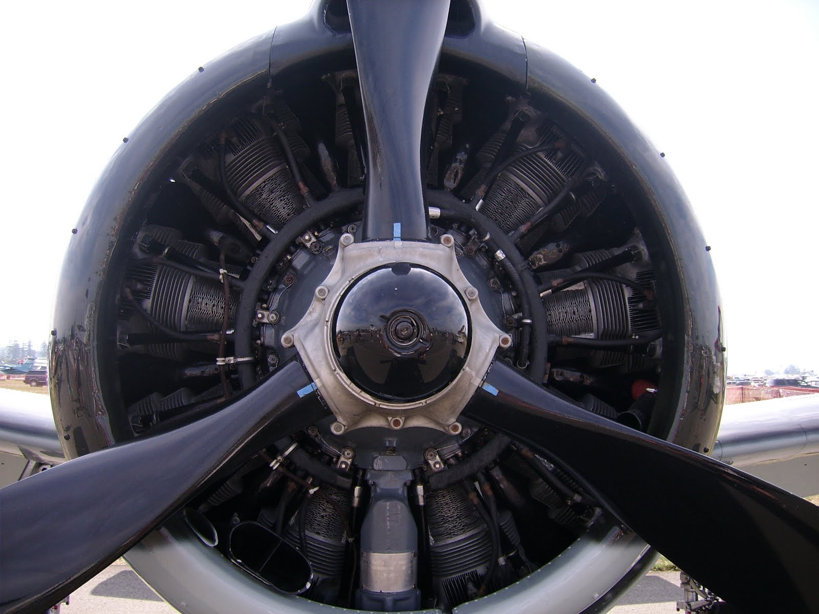 Black Flies and Bush Planes: B is for Bush Planes