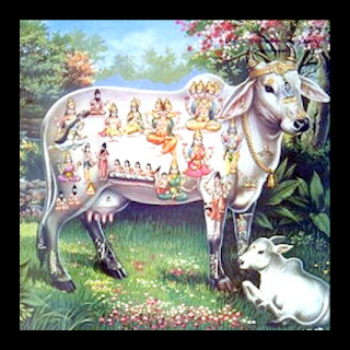 ANCIENT_INDIA: All Most Every God Dwell In Cow (How to Pray )
