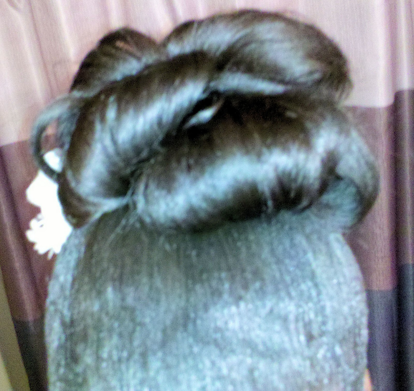 Purebeauty Pin Curl Bun