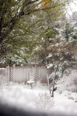 Where did spring go? - In My Own Imagination