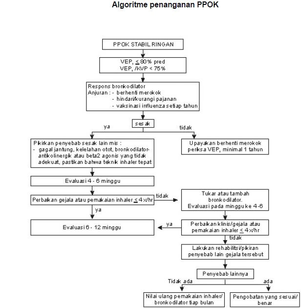 PENYAKIT PARU OBSTRUKTIF KRONIK (PPOK)