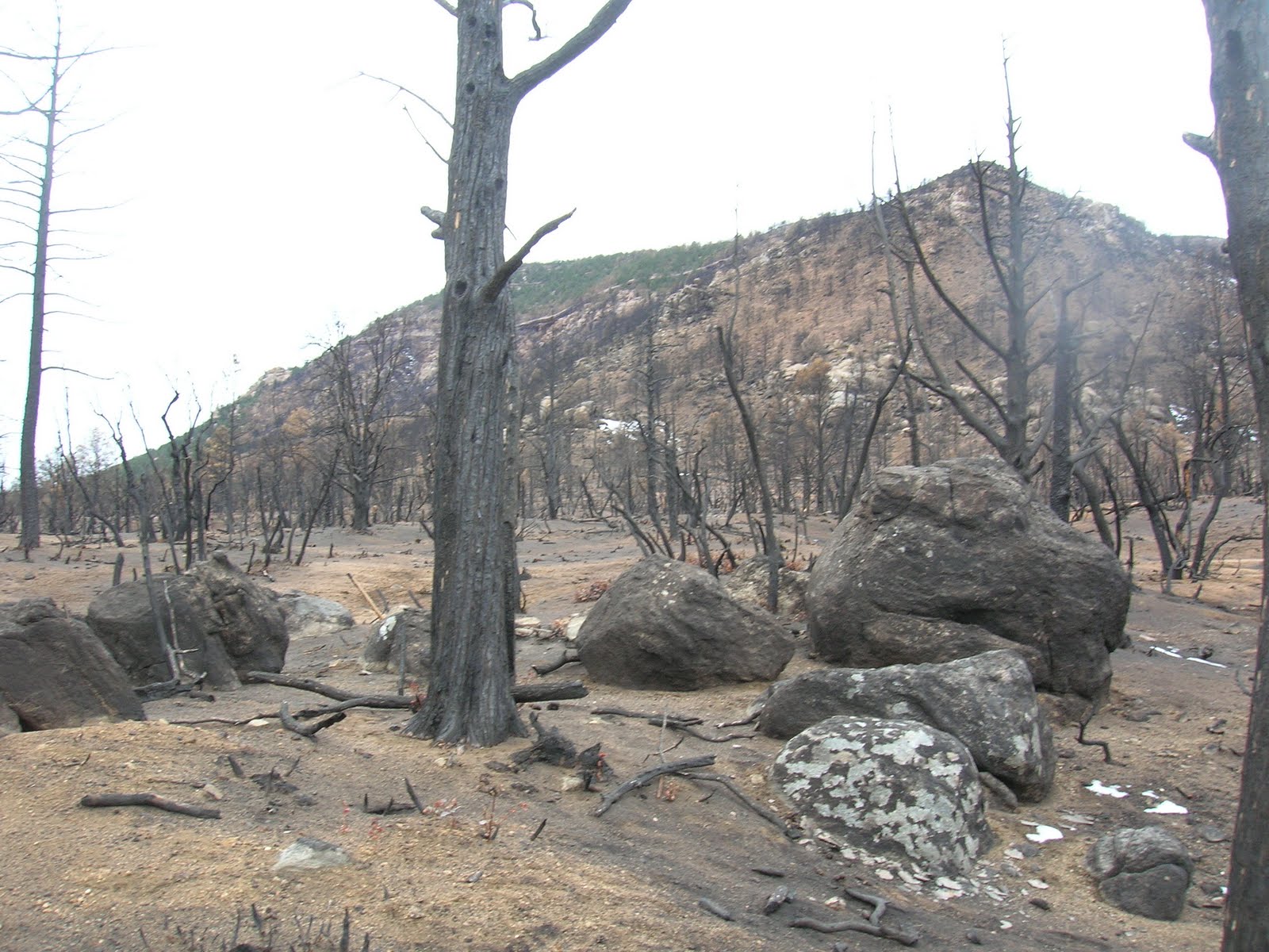 Rim Country Gazette: Eyewitness remembers flight from Dude Fire