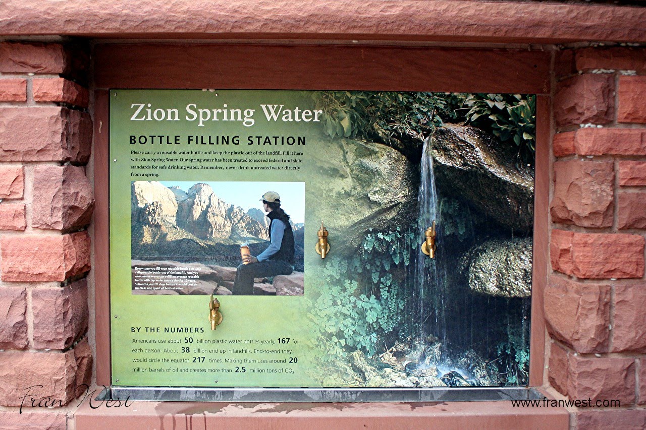 Fran West: Zion National Park Springs to Life