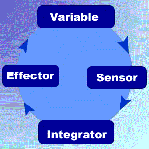 Anatomy and Physiology e-Portfolio: Understanding Homeostasis---Objective 1