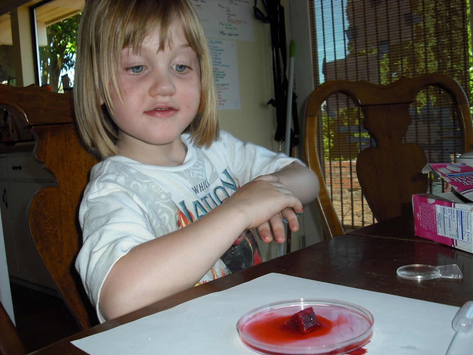 Summer of Science: The Colorful (and Delicious!) Sugar Star