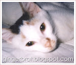 nitty.gritty.watever