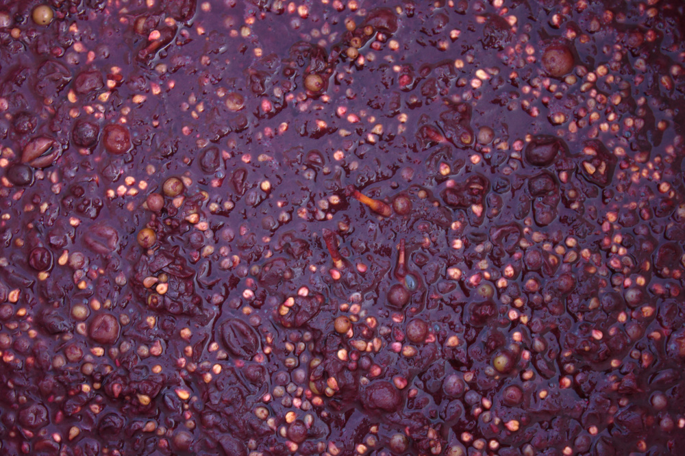 Highly Entropic: End of red wine pulp fermentation and bottling of ...