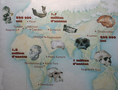 Origines: Ou vivaient les premiers hommes