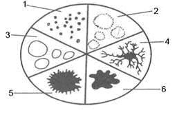 My Scientific Blog - Research and Articles: Microbial (Bacterial) Growth