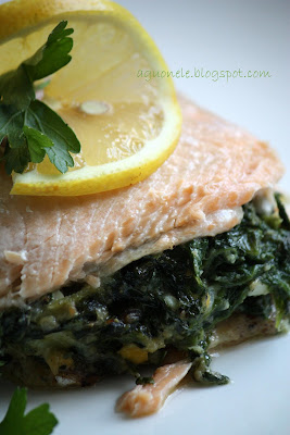 aguonėlė: Idarytas upetakis