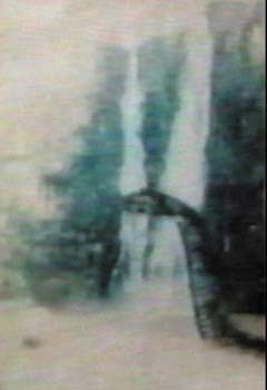 CRYPTOZOOLOGY ONLINE: Still on the Track: RICHARD FREEMAN: The Howick ...