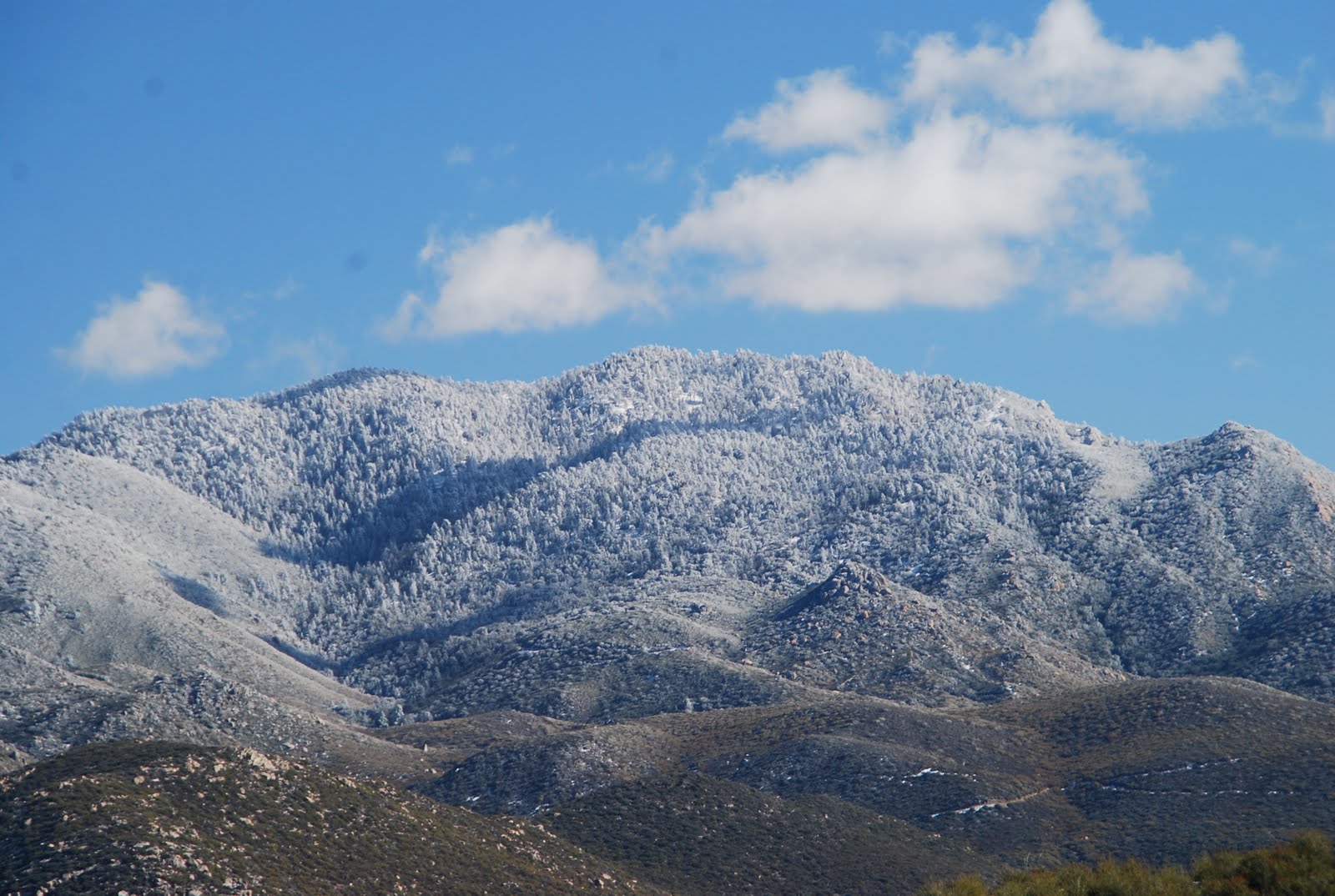 Earth's Internet & Natural Networking: Santa Rosa Mountains & Climate ...