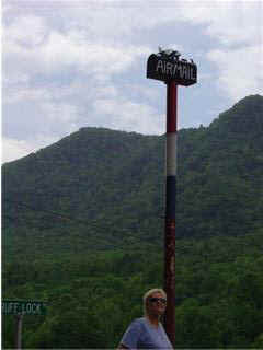 31 Unique & Strange Mailboxes ~ Now That's Nifty