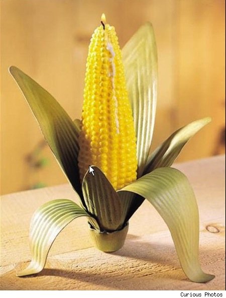 facts around us: 14 Strange Candles Designs | Candles smell like flowers