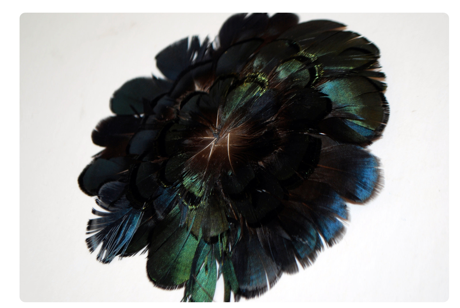 The Moptop Maven.com | The Premier Source For All Things Creative, Fly ...