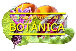 biologia: BOTÁNICA
