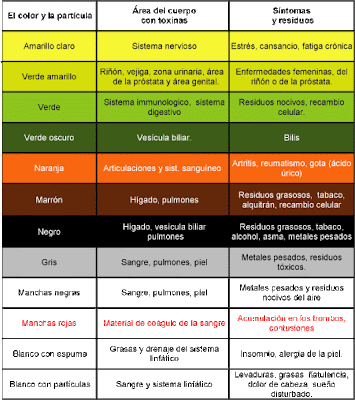 Desintoxicación por iones