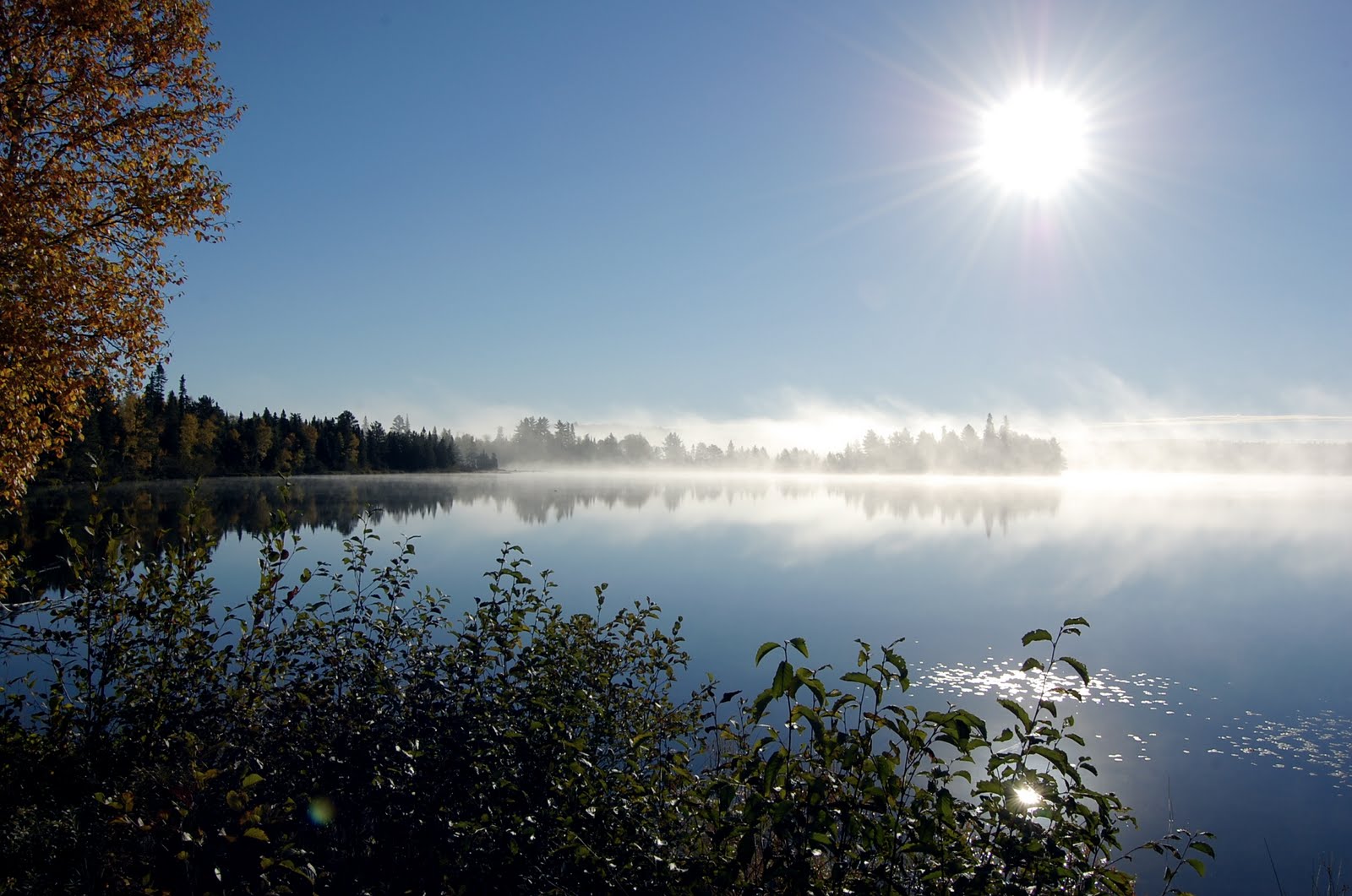 Comme un poisson dans l'eau en Abitibi: La ballade de Mahingan