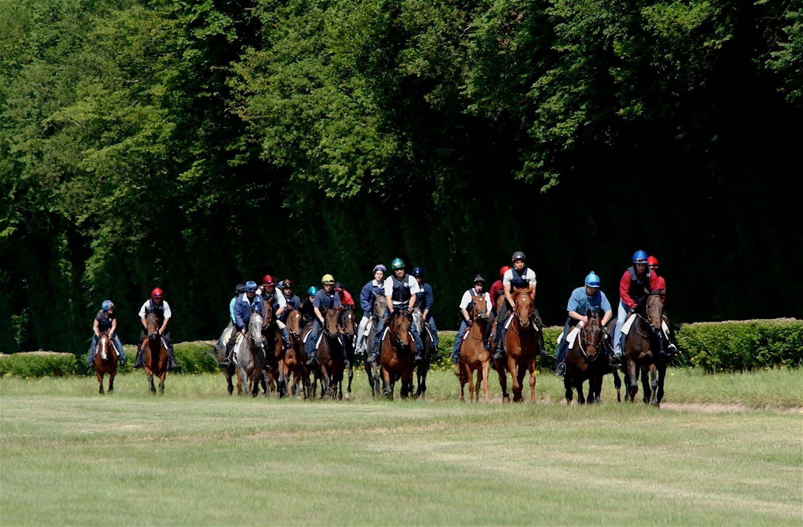 O NINHO DO ALBATROZ: 11/08/2010