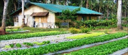 LIFE OUTDOORS - Philippines: A Passion For Organic Agriculture