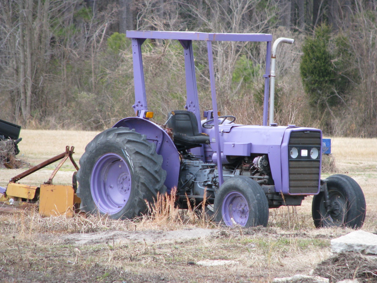 Life in Mathews: Whimsy