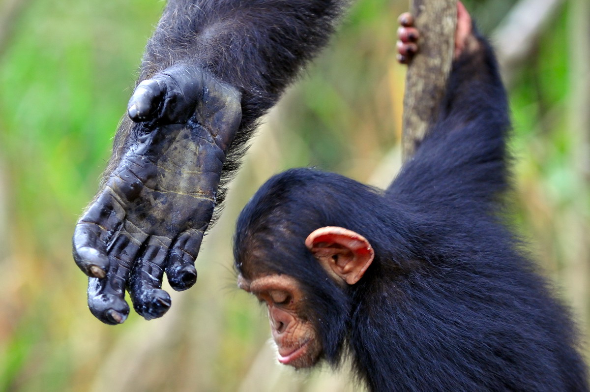 !Xpix Photography: Competition Time!