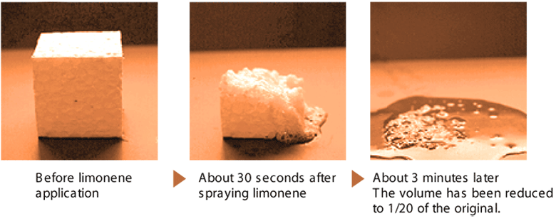 Isabelle's Literature Blog : D: Science Fair Project