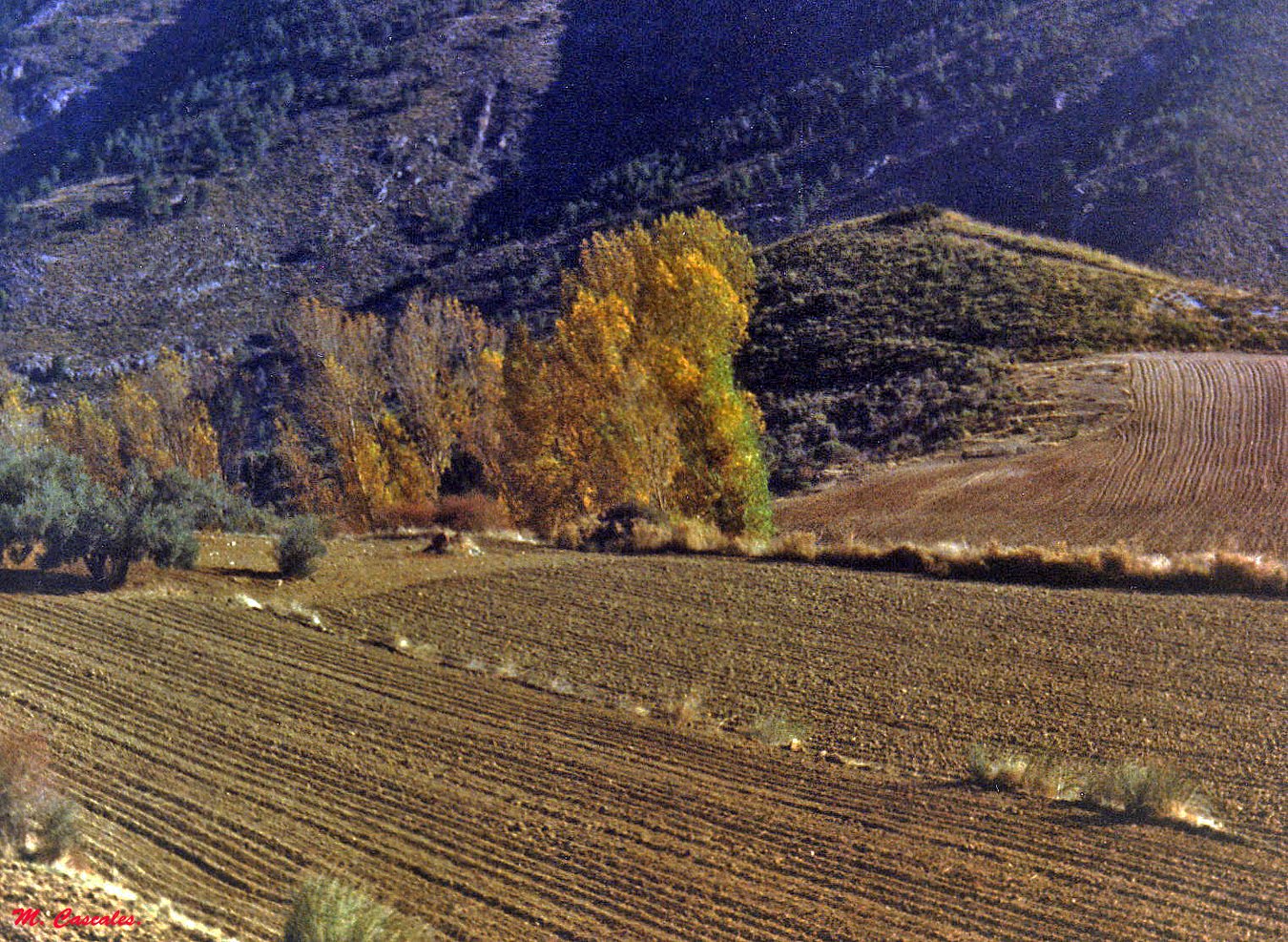 mcguindos.blogspot.com: PAISAJE SERRANO