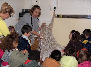 As Pulguinhas da Corvina: Dia Internacional do Deficiente - Visita ao ...